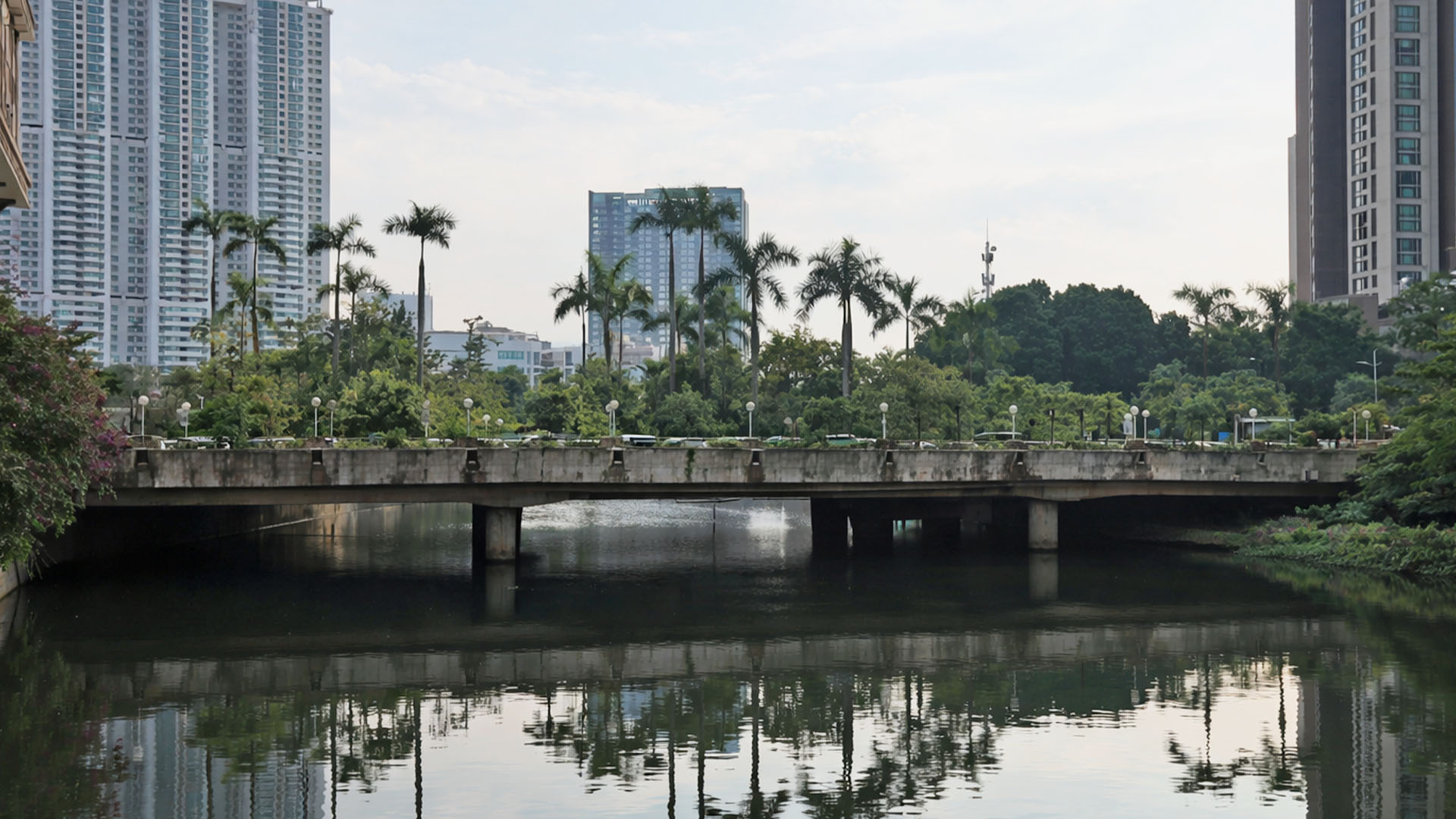 A city bridge seen between nature and buildings in China