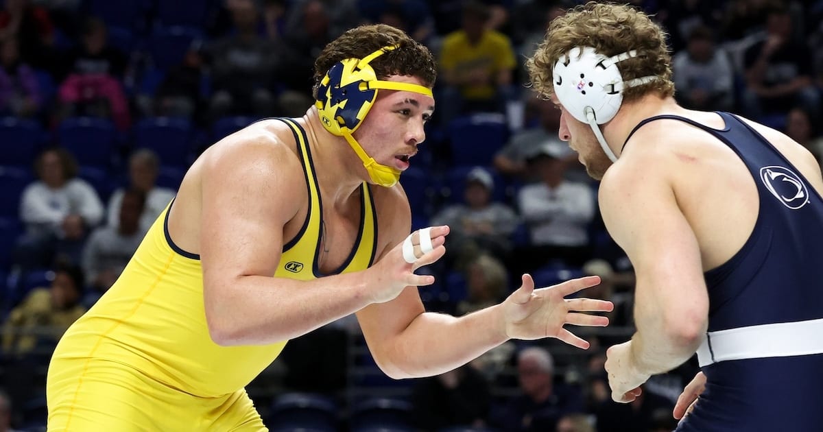 Taye Ghadiali avenges loss to AJ Ferrari in Big Ten wrestling finals ...