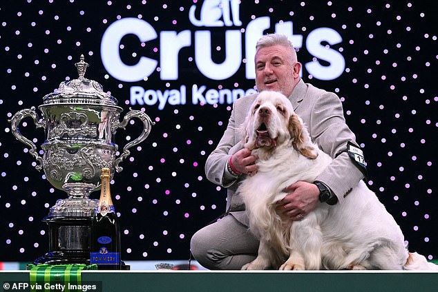 Bruin the Clumber spaniel is crowned Crufts best in show winner at ...