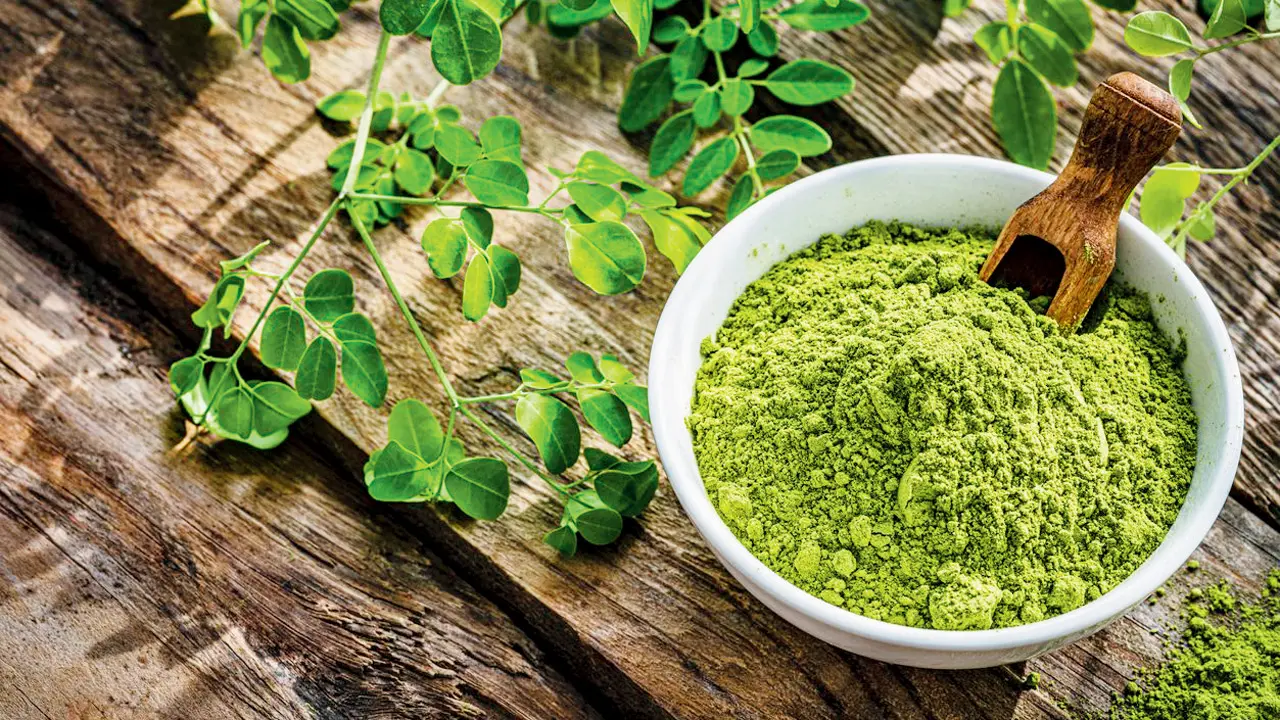 Moringa money trap: 150 investors duped of Rs 10 crore in high-return scam