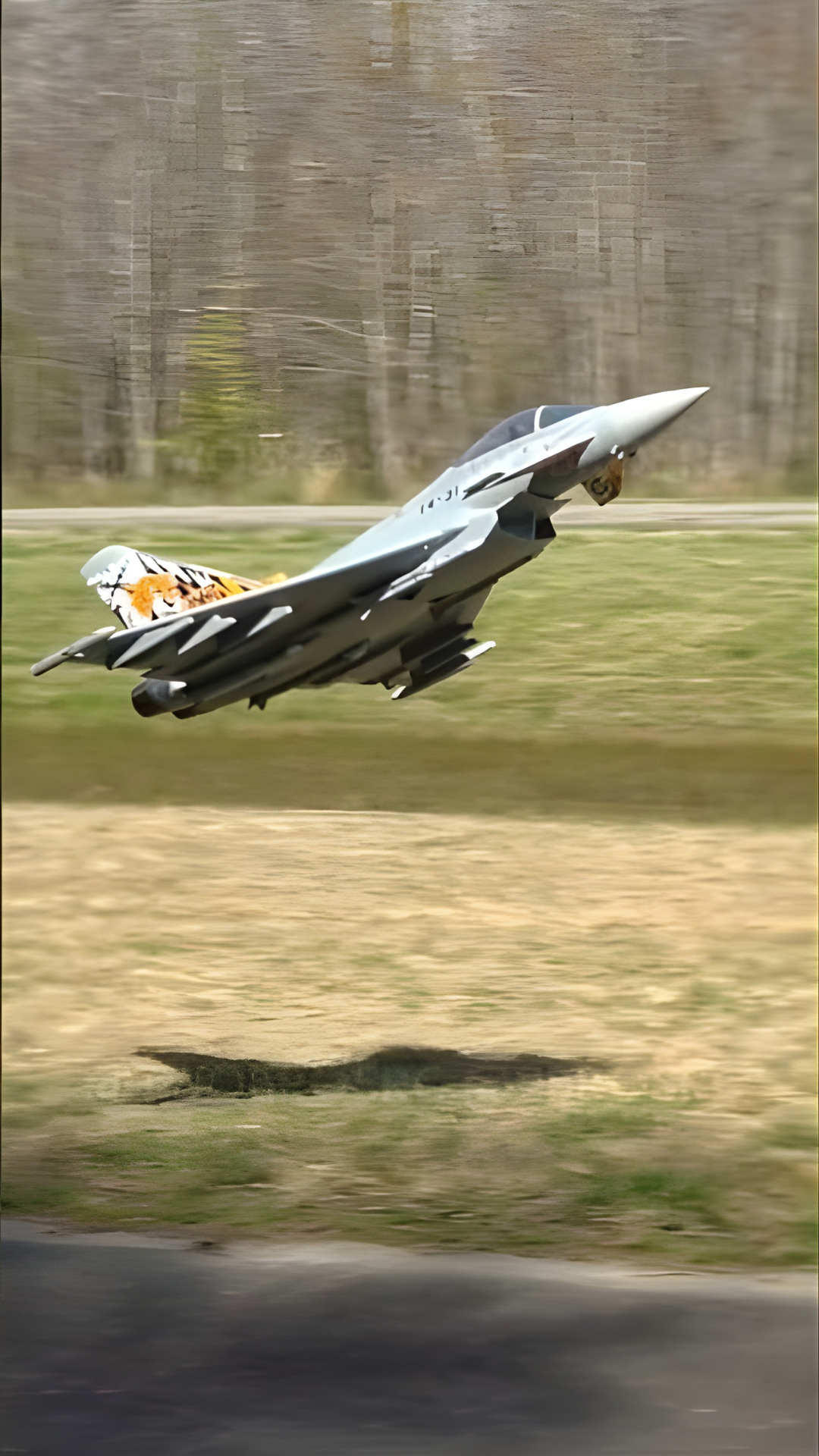 Eurofighter Typhoon High Alpha Pass Aerobatic Precision
