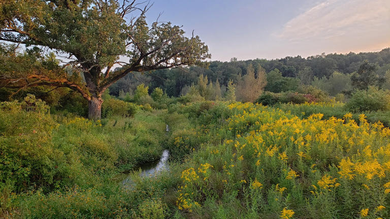 One of Wisconsin's safest villages to visit in 2026 is a quaint ...