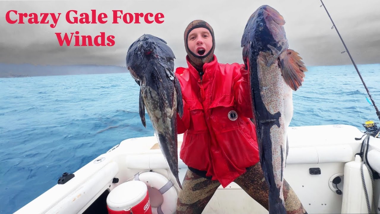 I braved gale force winds while spearfishing 🌊