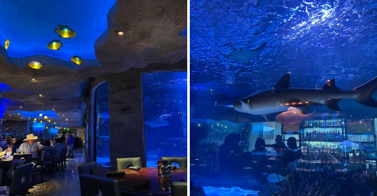 Dine underwater at this ocean-themed restaurant in Texas with sharks ...