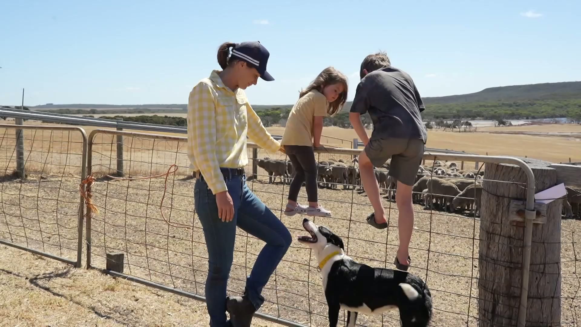 Muster Dogs winner Courtney Moir says dog training filled her cup in ...