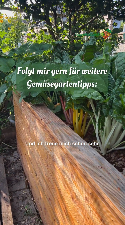 So baust du dein eigenes Hochbeet