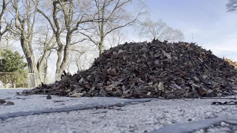 Milwaukee spring leaf cleanup; city launches one-time collection