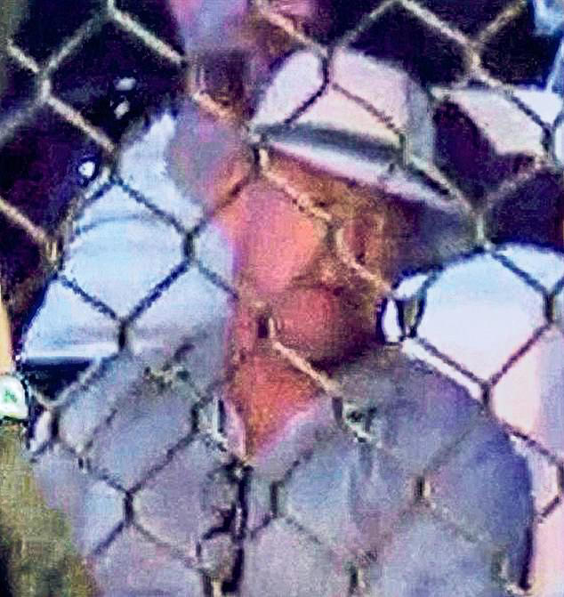 Kinahans caught on film in Dubai: Two of world's most wanted drug lords ...