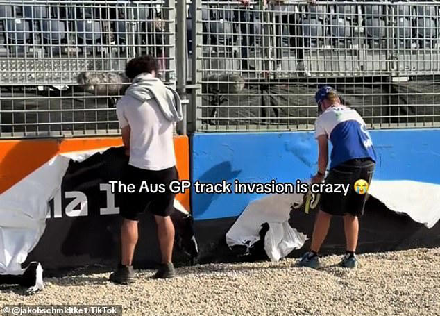 F1 fans rip up the circuit and take anything that's not nailed down at ...