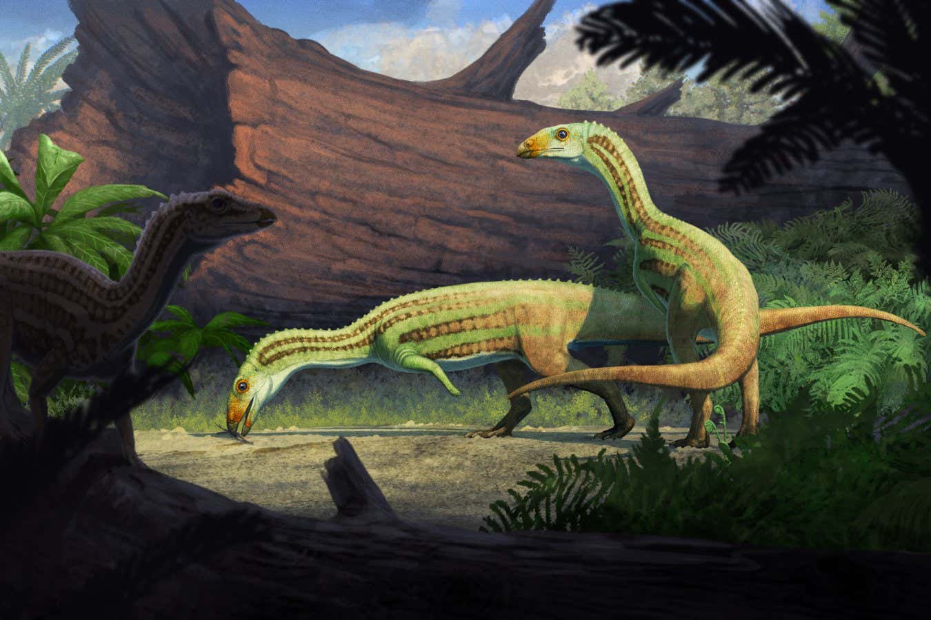 Ancient 'weirdo' reptile graduated from 4 legs to 2 in adolescence