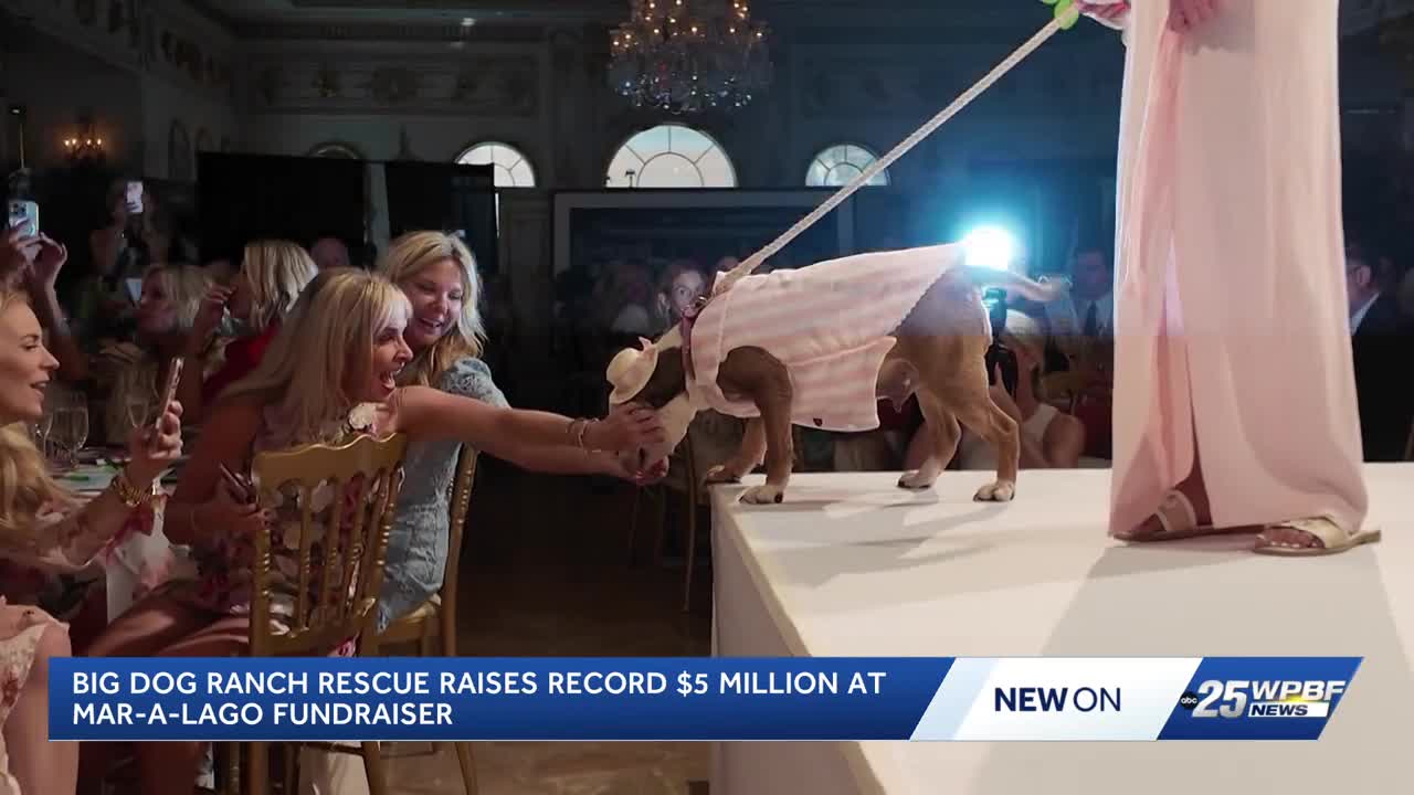 Big Dog Ranch Rescue raises record $5 million at Mar-a-Lago fundraiser