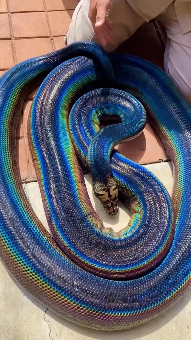 Am I seeing things or does this girl kind of look like a rainbow?👀🌈