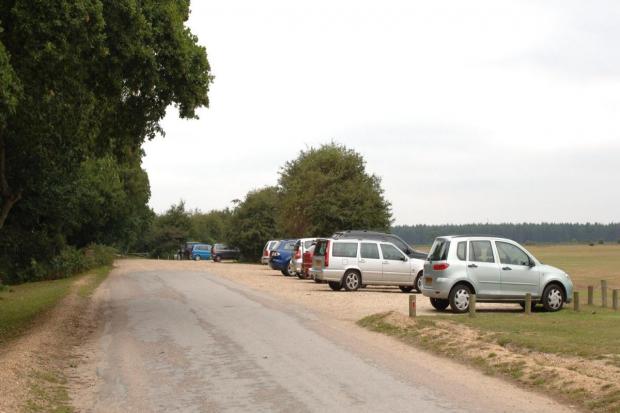 Around 90,000 homes to receive details on change to New Forest parking ...