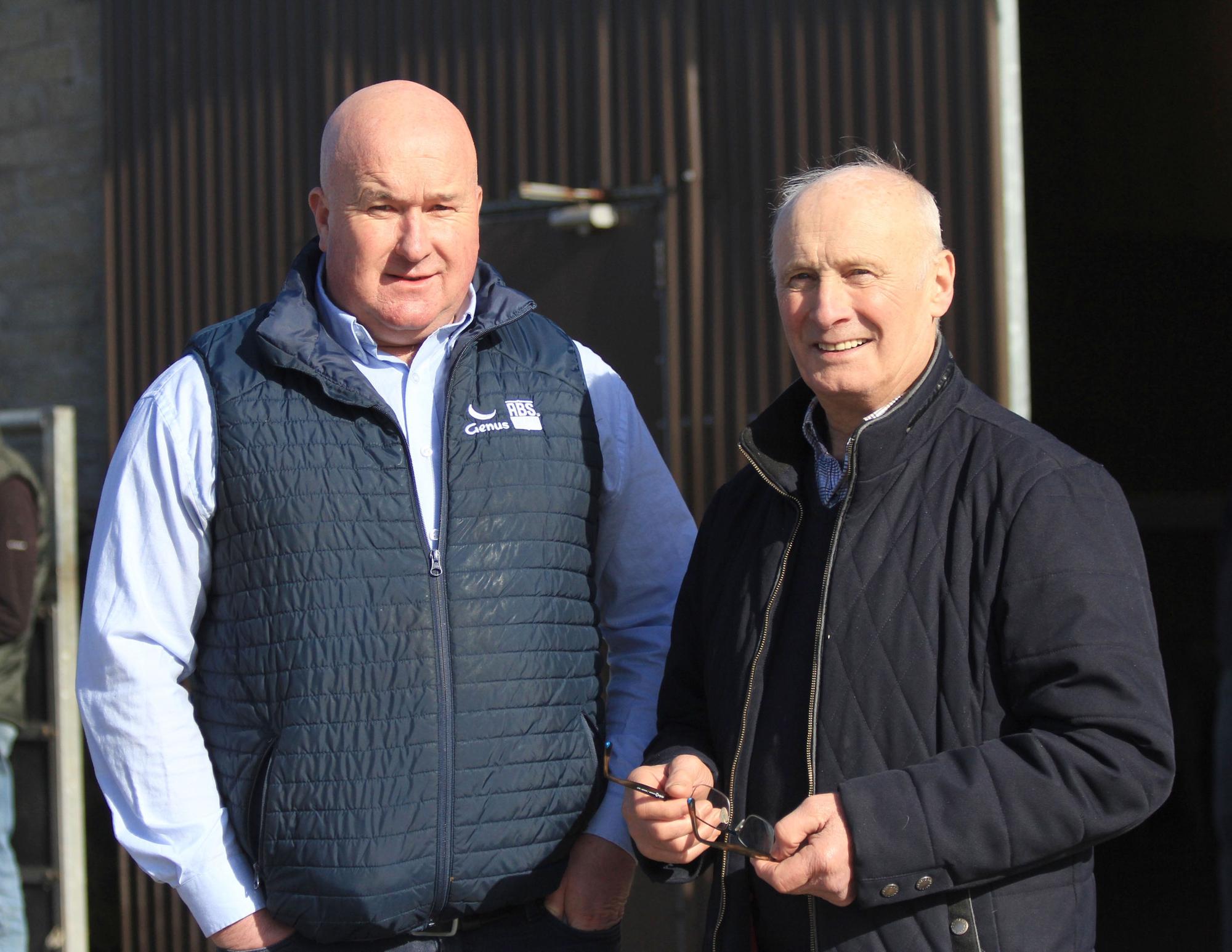 Holstein bulls to 5,800gns and 5,600gns at Kilrea