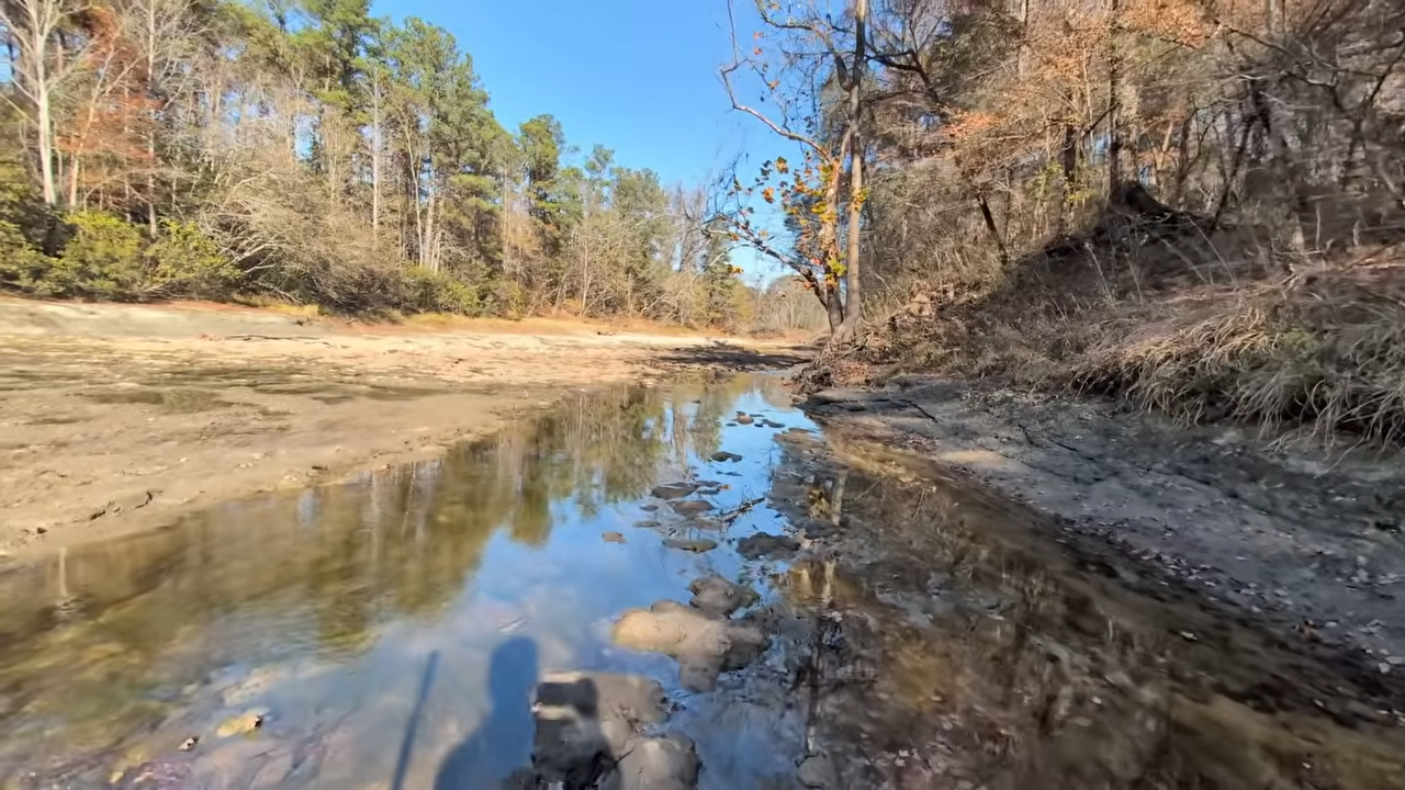Something strange was sticking out of the creek bank