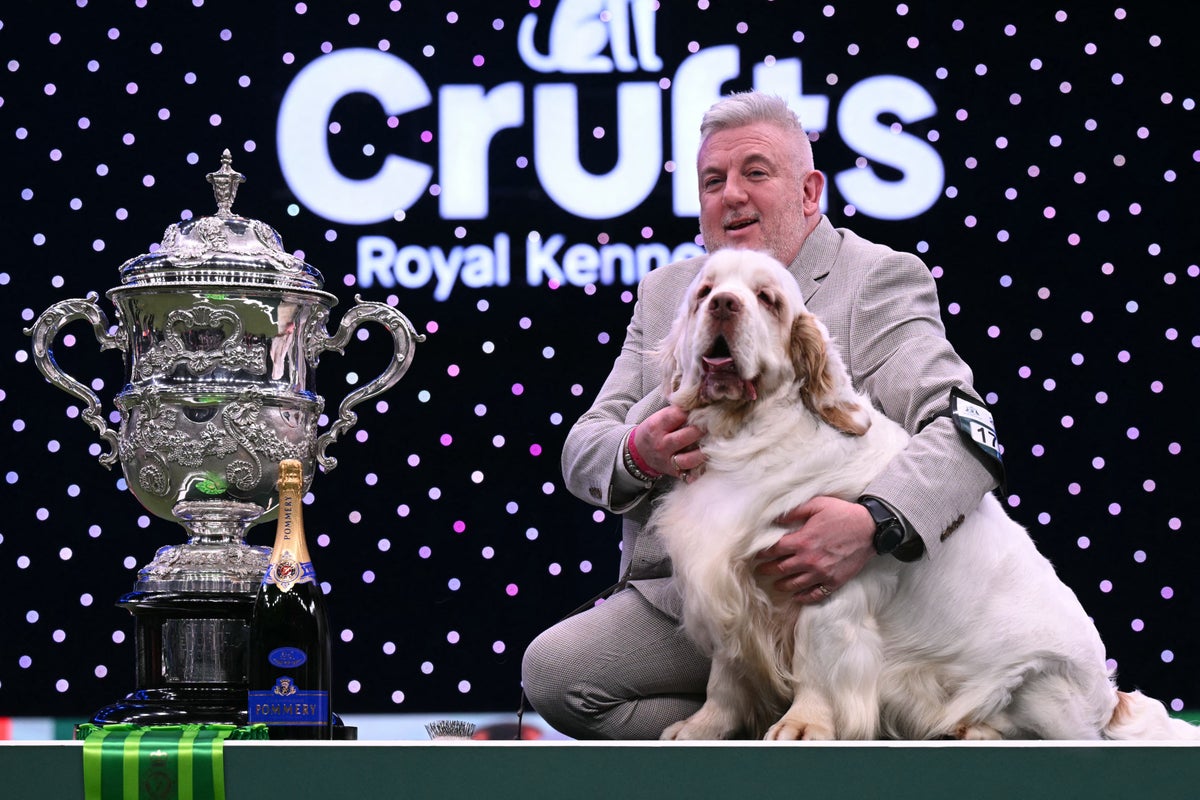 Claudia Winkleman gets hit in face by Crufts winner in live TV mishap
