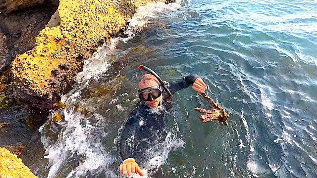 We found dozens of rings in this dodgy metal detecting spot