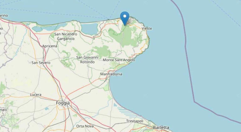Scossa di terremoto nella notte in Puglia: epicentro nel Foggiano