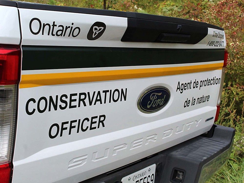Wheatley man fined for illegal commercial fishing on Lake Erie: MNR