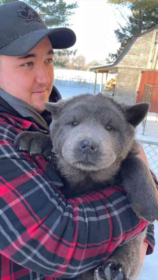 Meet Braxton the dog who could melt anyone’s heart