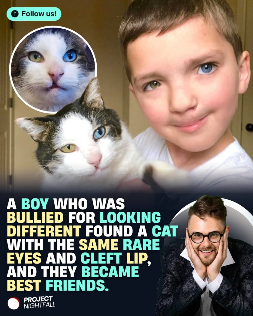 Bullied boy's unique traits were his curse. Then a cat with his exact ...