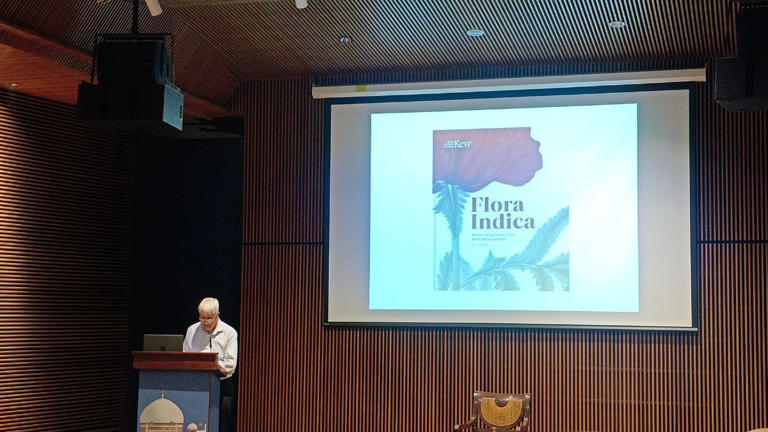 Flora Indica unearths botanical drawings. They were lost to colonialism ...