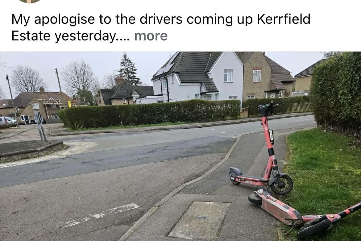 Mobility scooter rider falls off into oncoming traffic and dog escapes ...