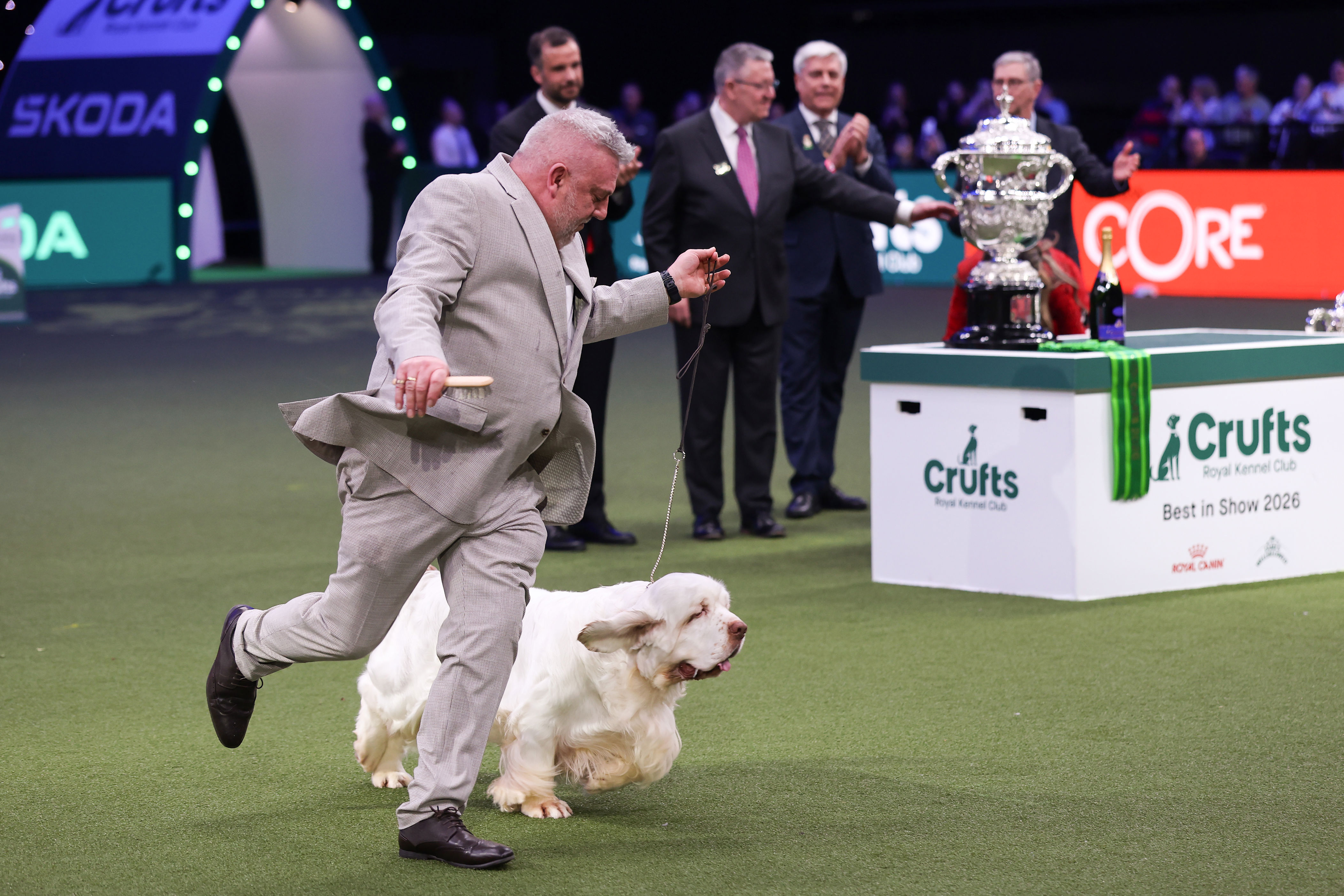 Crufts 2026 in Birmingham: 18 excellent photos from final day as Best ...