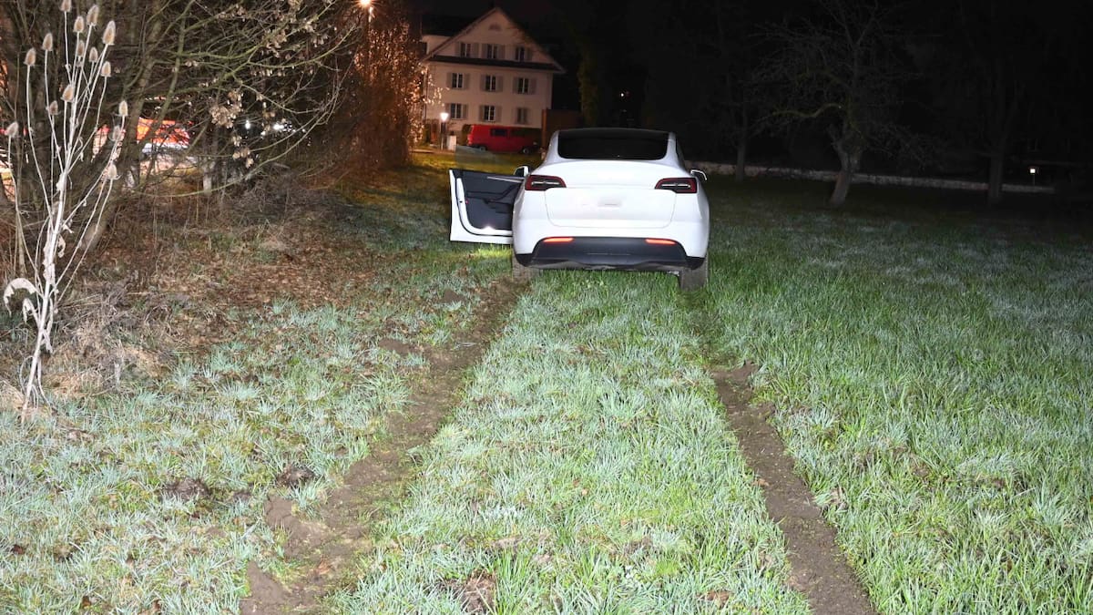 Verfolgungsjagd in Emmen LU: Teenie flüchtet mit Tesla vor Polizei und ...