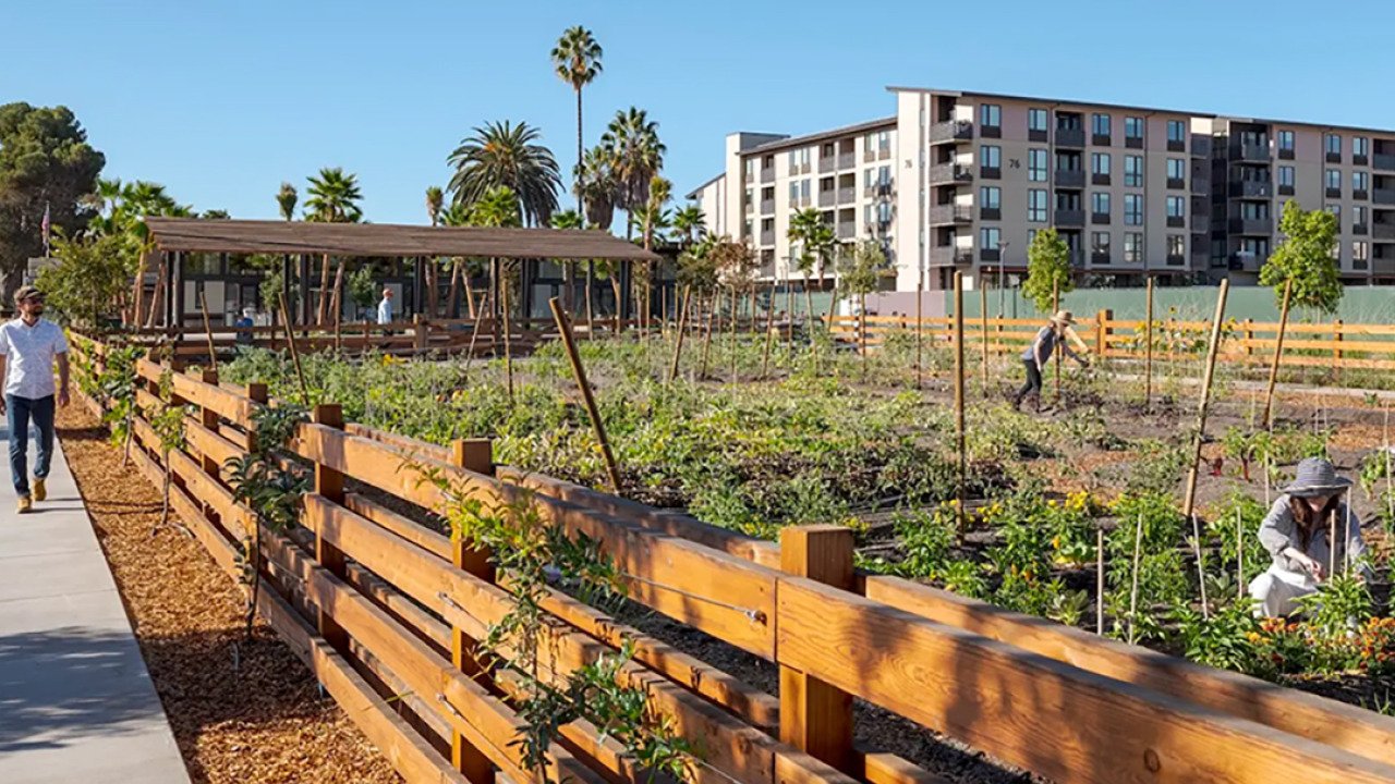 What happens when a neighborhood is built around a farm