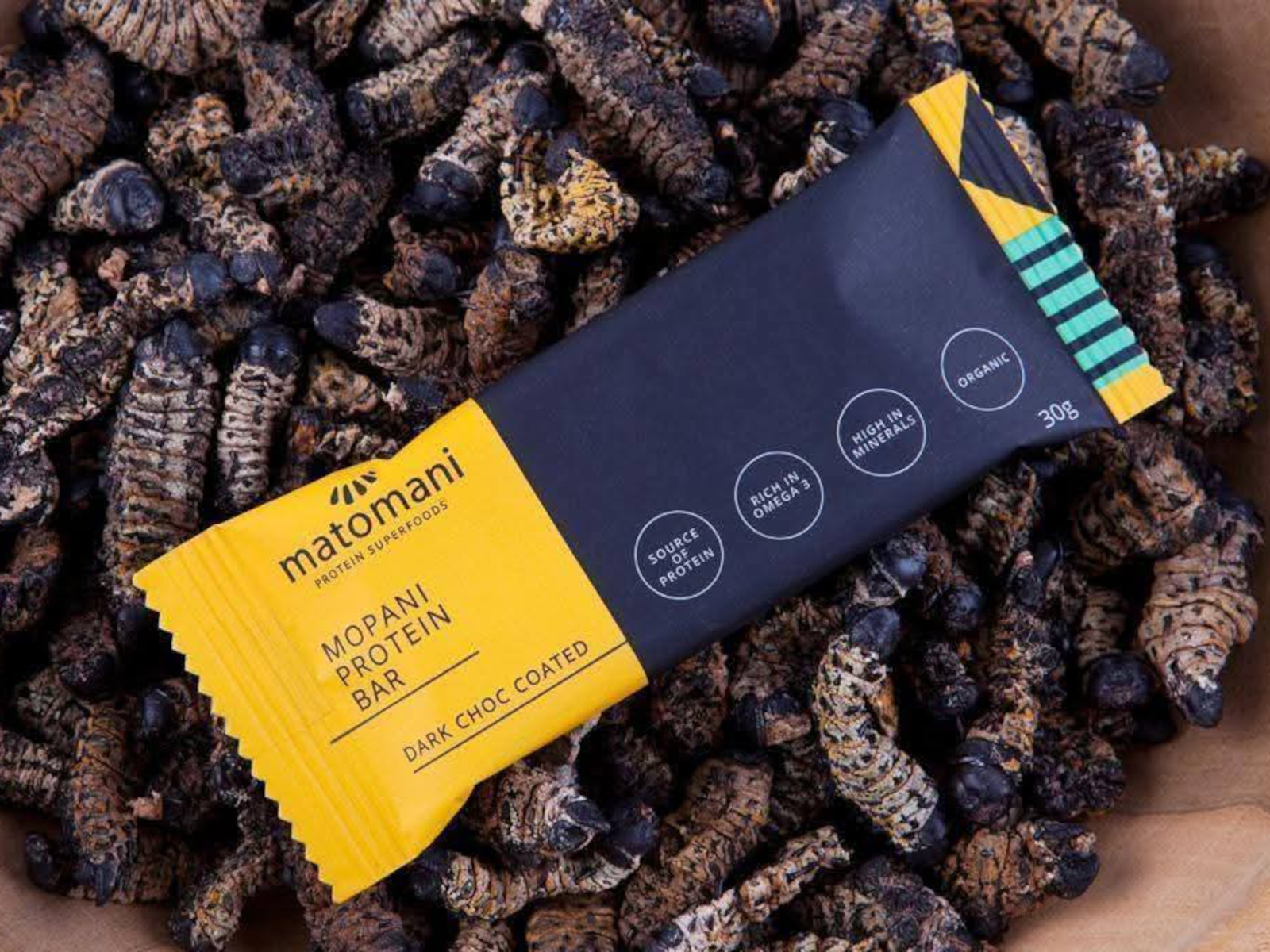 Phalaborwa woman turns mopani worms into a growing food business