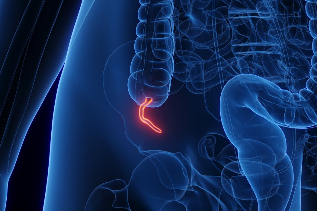 What does the appendix do? Biologists explain the complicated evolution ...