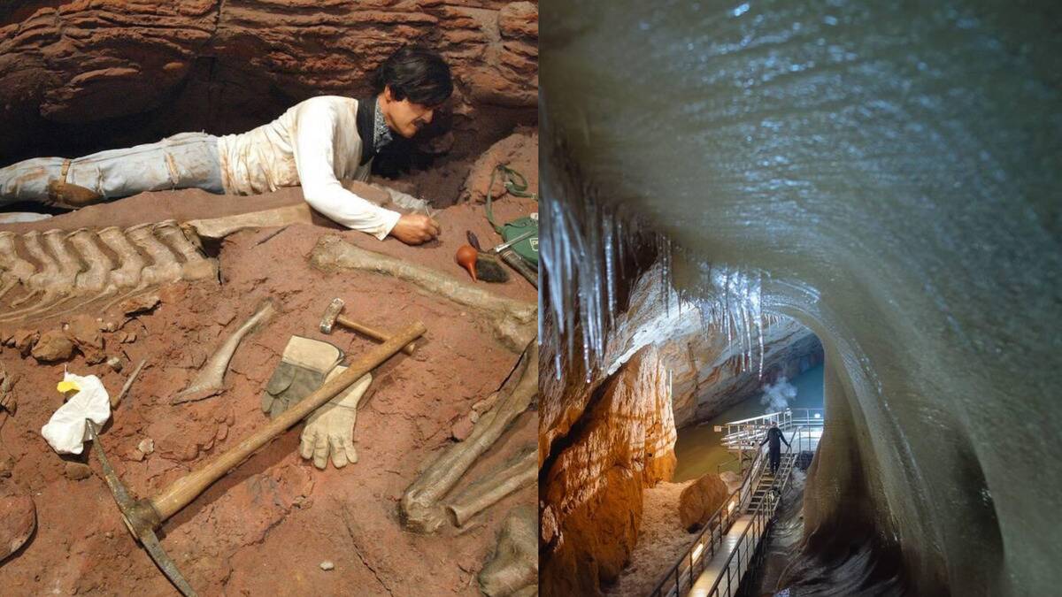 Caves that hold remains from the Ice Age