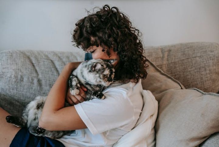 10 reasons cats make the perfect low-maintenance pets