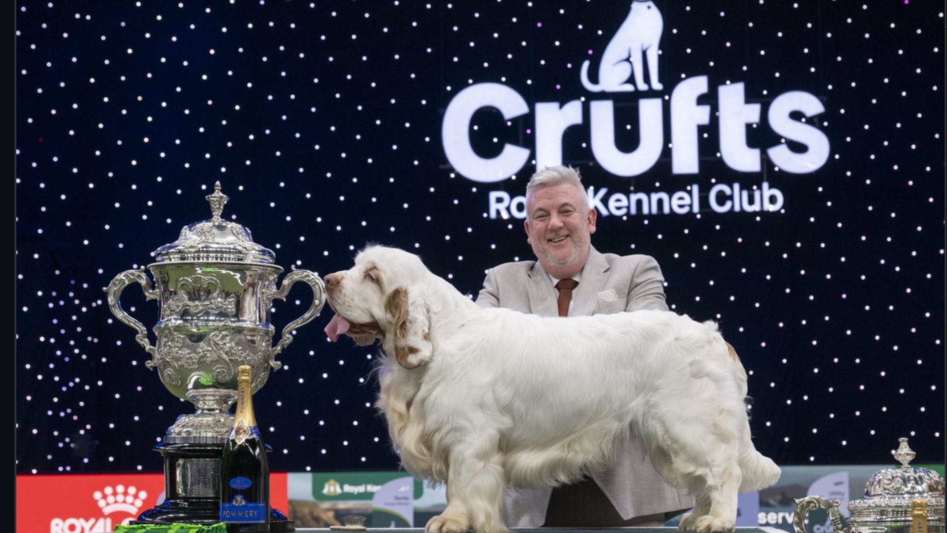 Out of 18,600 dogs, he won one of the most prestigious canine competitions