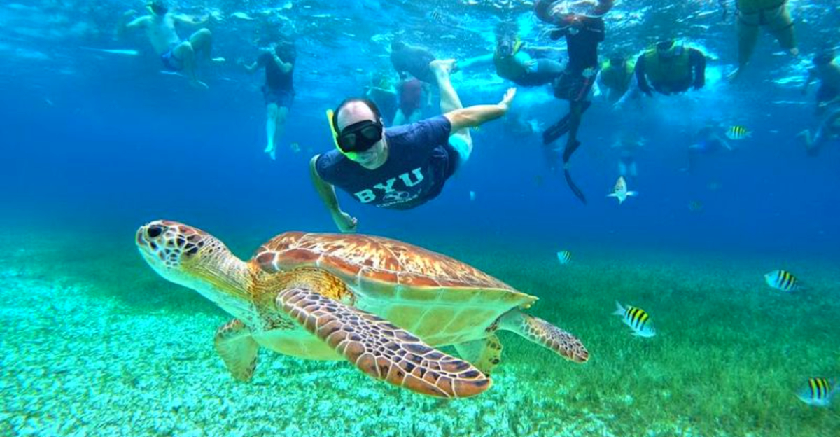 15 cruise excursions that deliver the best value for your trip