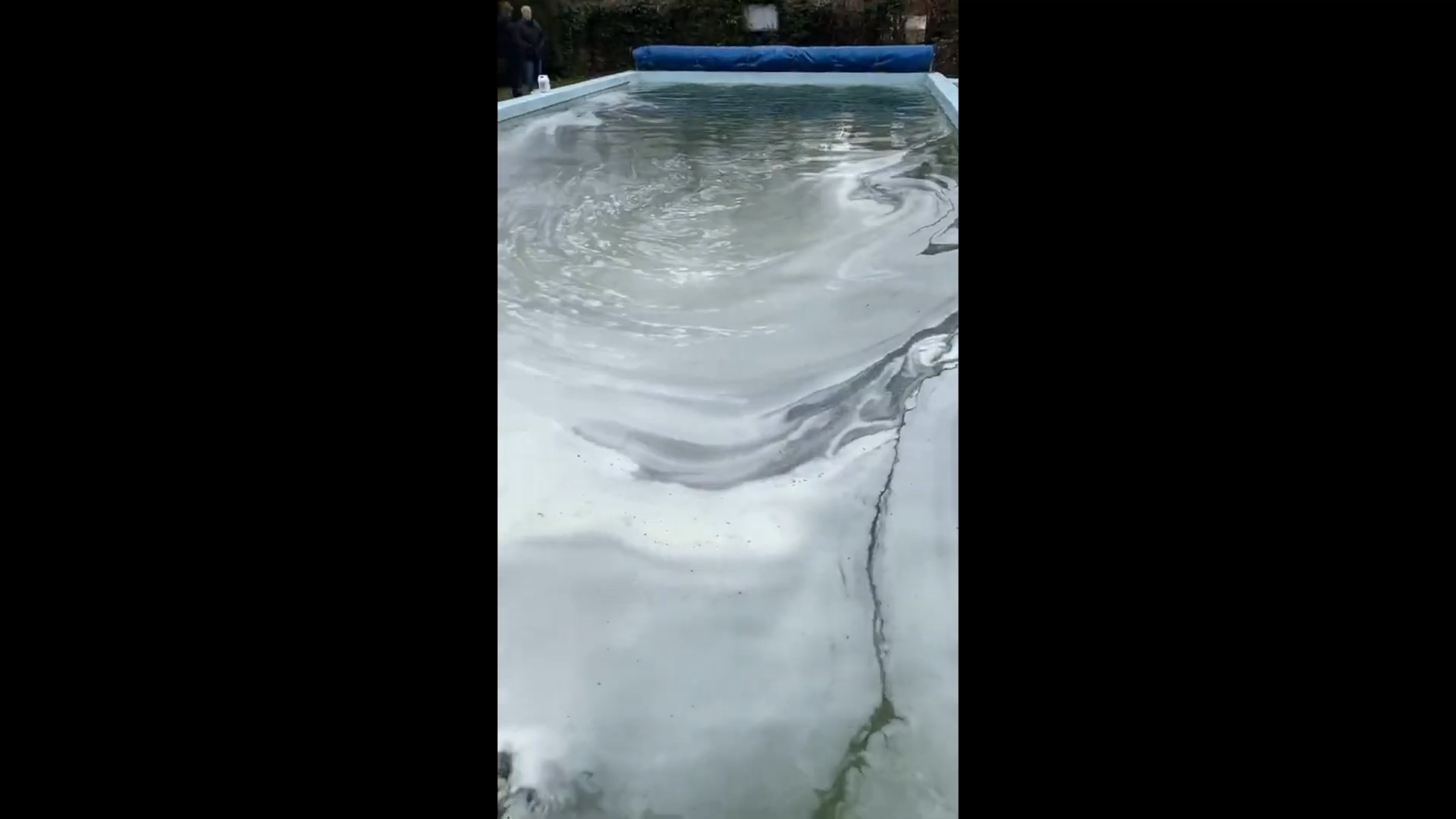 How this big pool was rescued from thick algae
