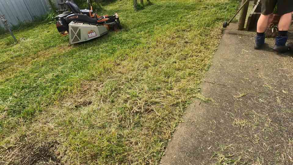 Why this mowing session is the most satisfying so far