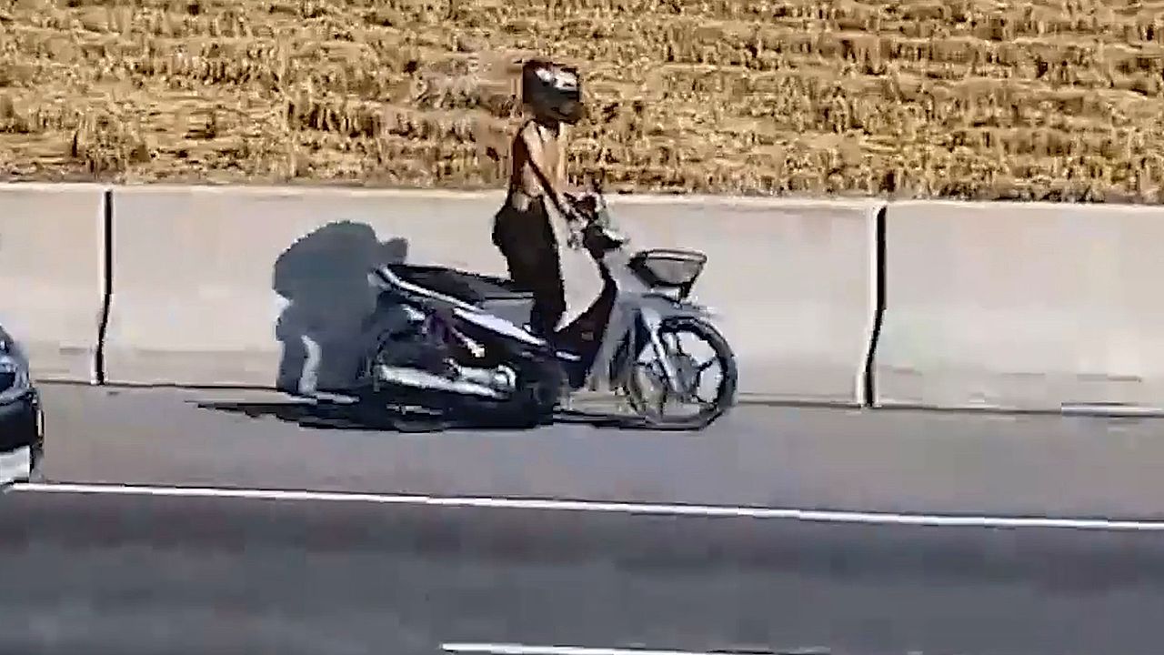 Un suspect arrêté après avoir poussé un scooter volé sur l'autoroute