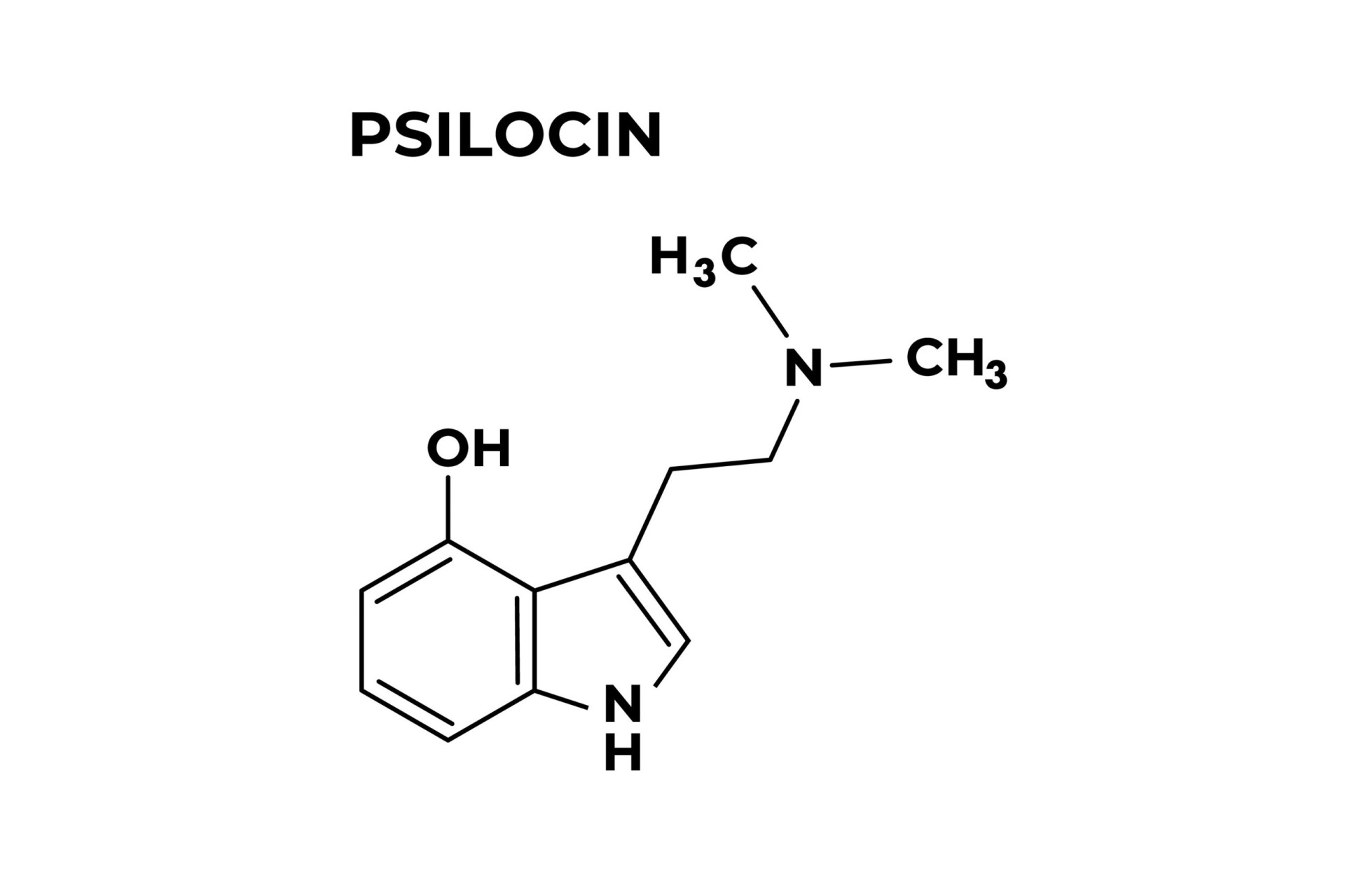 How do psychedelic drugs alter the brain?