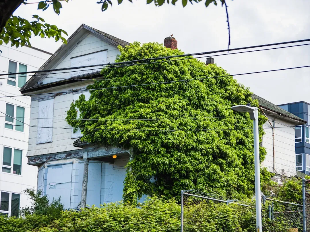 The HOA horror story: 7 new rules that give boards too much power
