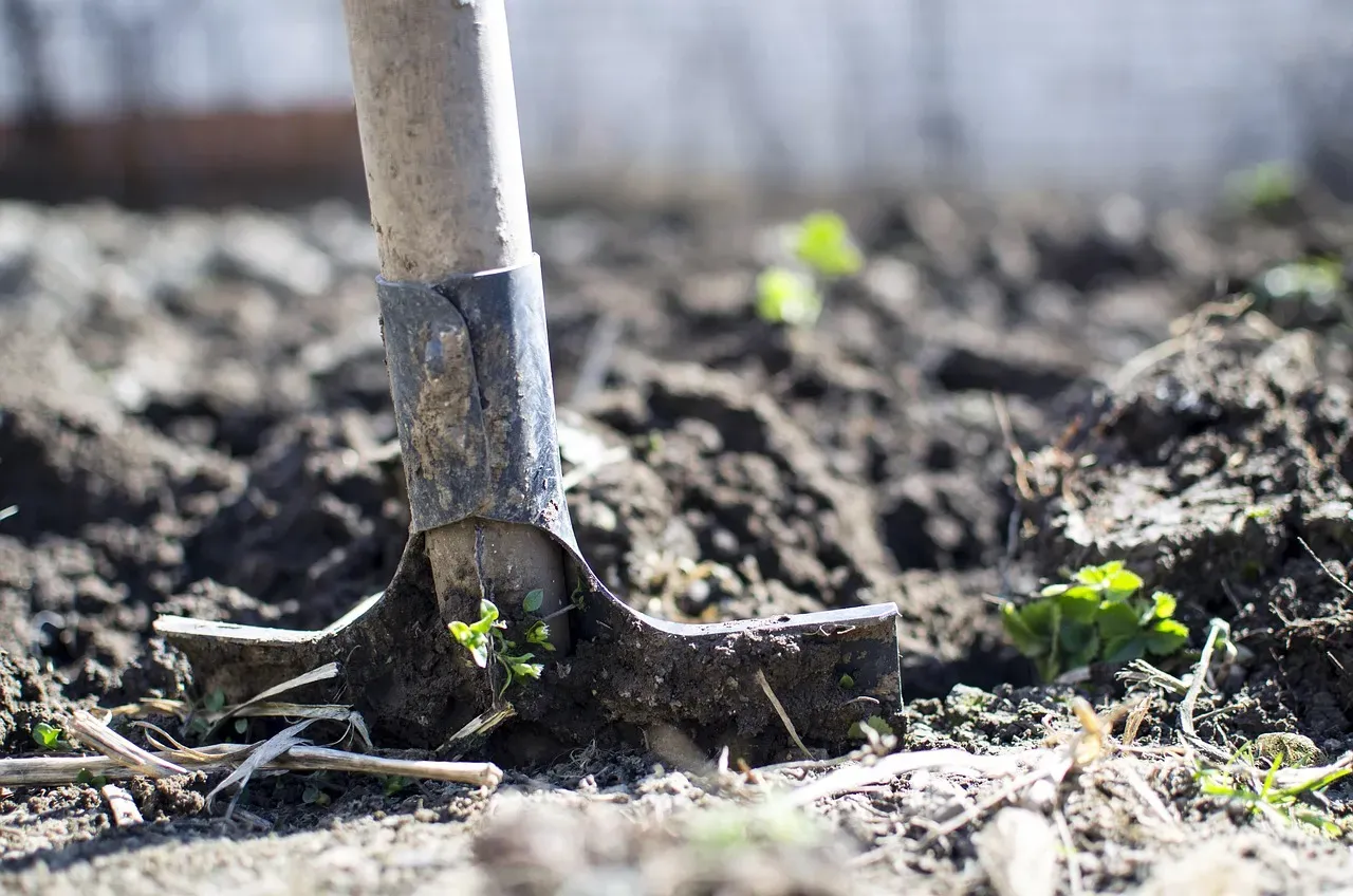 The "forever chemical" map: Is your backyard soil technically toxic?