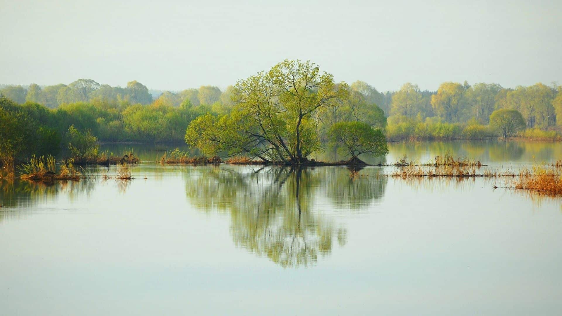 Otherworldly photos of Estonia’s forests and landscapes