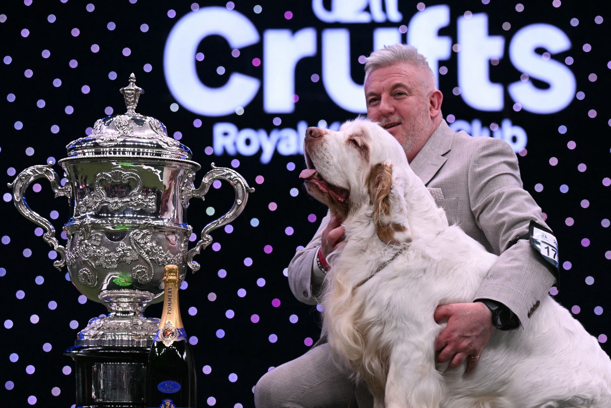 Crufts 2026 in Birmingham: 18 excellent photos from final day as Best ...