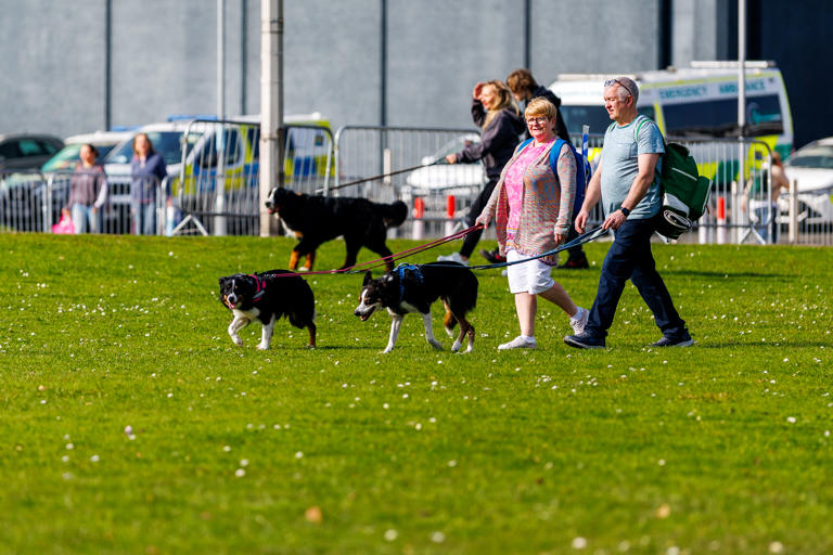 Crufts 2026 in Birmingham: 18 excellent photos from final day as Best ...