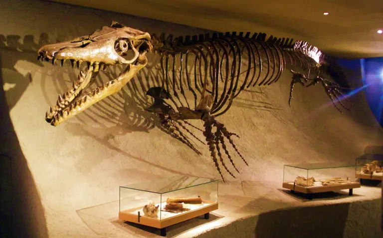 New giant prehistoric sea monster unearthed in Morocco