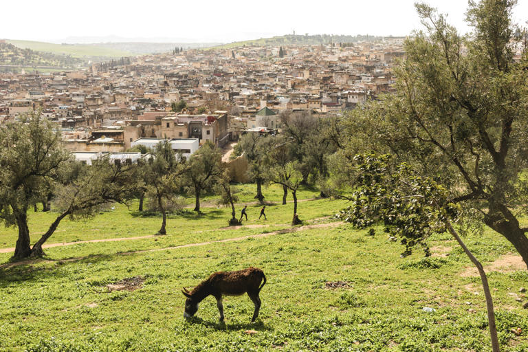 Why you should visit Morocco’s medieval ‘second city’ over Marrakesh