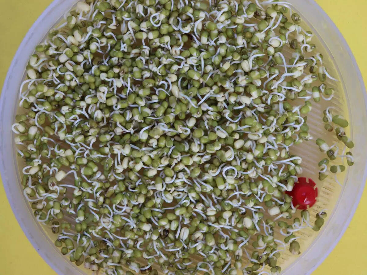 7 high-protein lunch ideas for office days