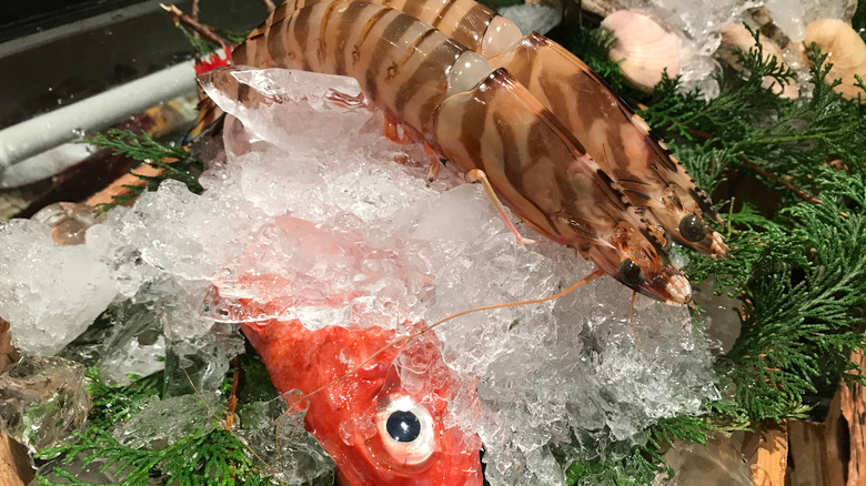 What are the different types of shrimp used in Japanese cuisine?