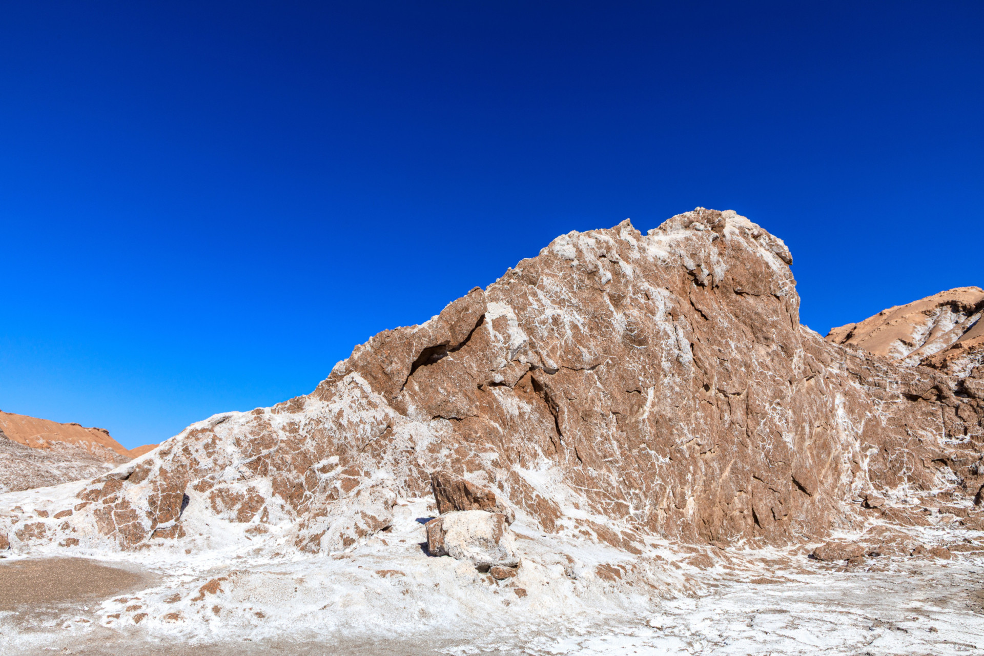 Where do wild animals get their salt?
